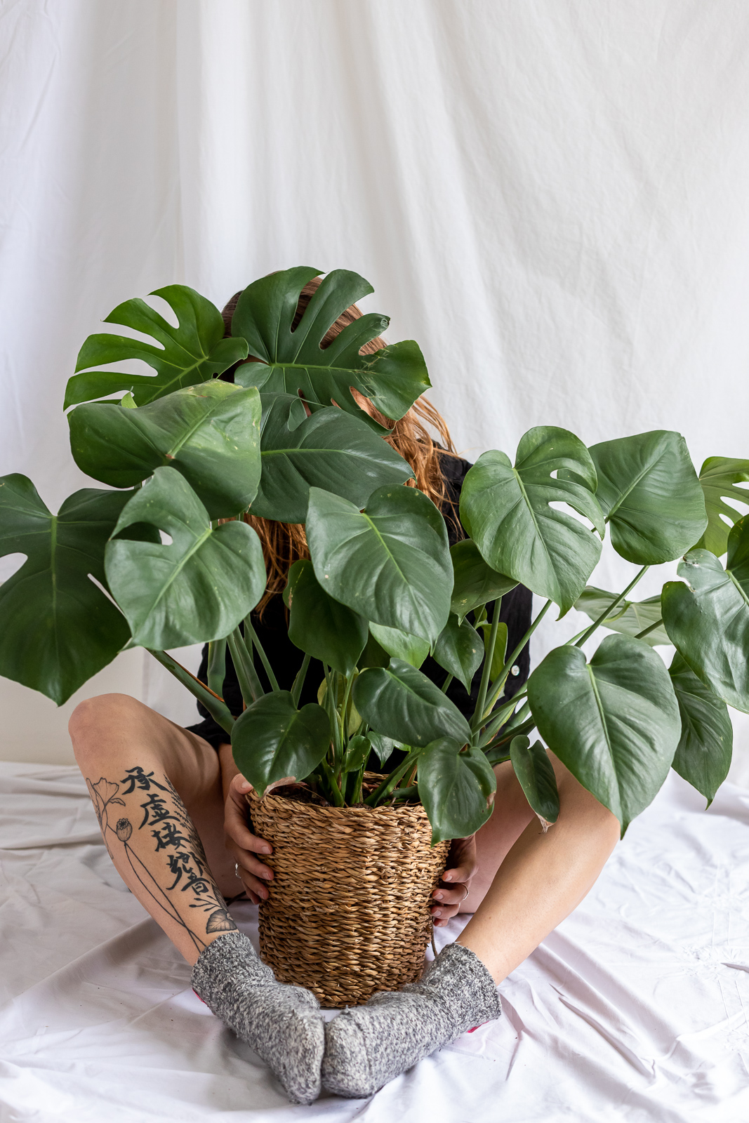 Kamerplanten verzorgen: 5 tips - We are the Earth